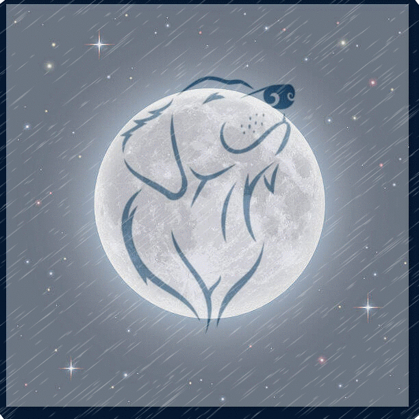 Moondog | NFT Collection | Airnfts