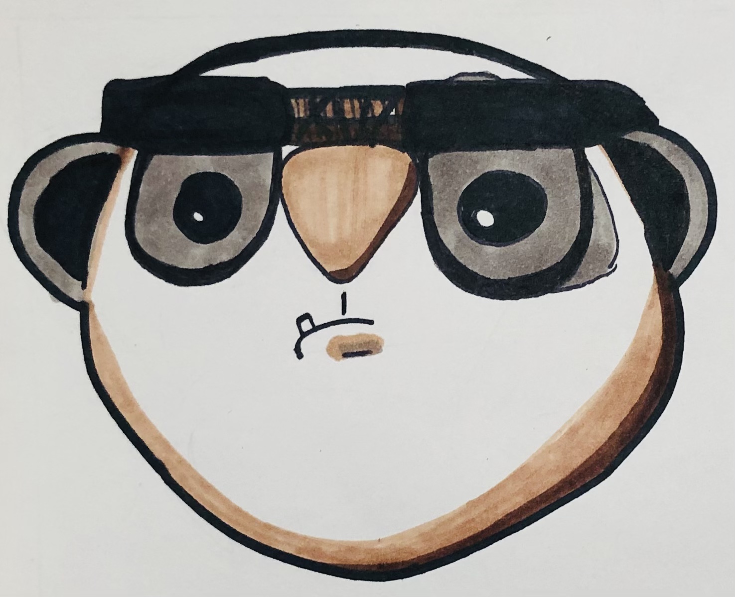 Nerd Panda | NFT Collection | Airnfts