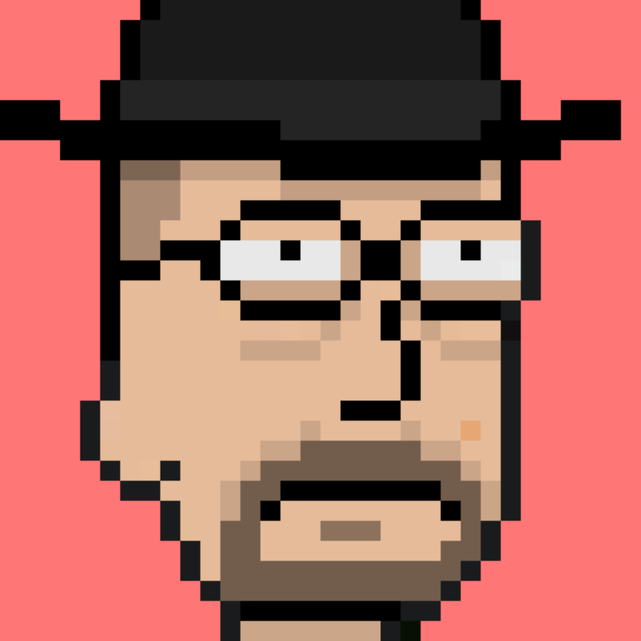 Phunk #14 (Gustappenberg) | NFT Collection | Airnfts