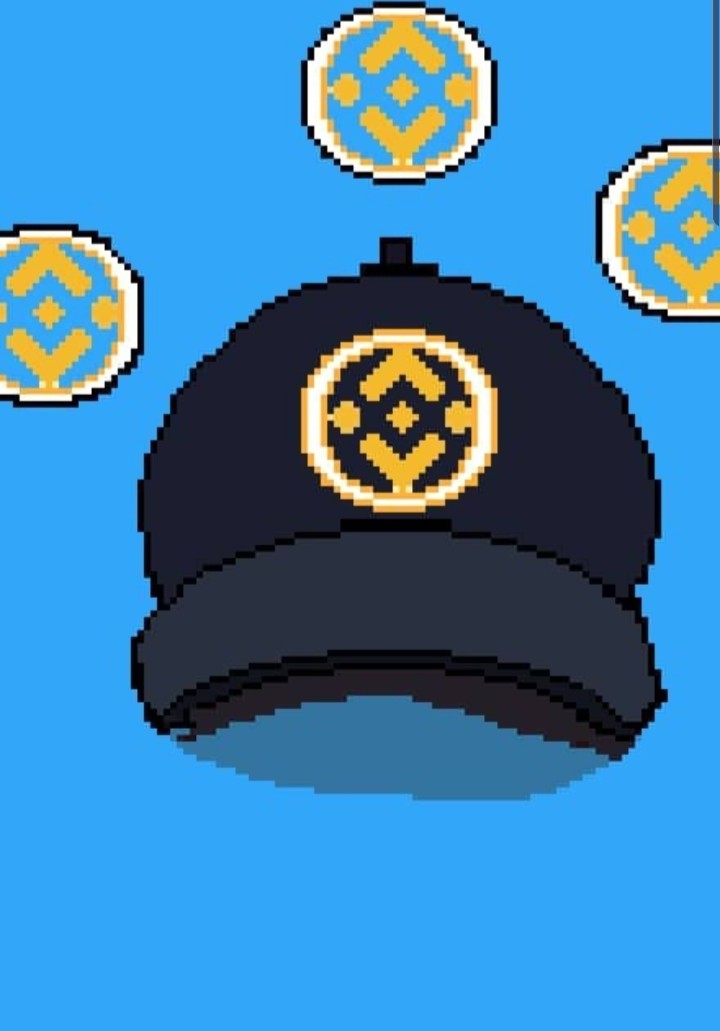 Punky Cap #24 | NFT Collection | Airnfts