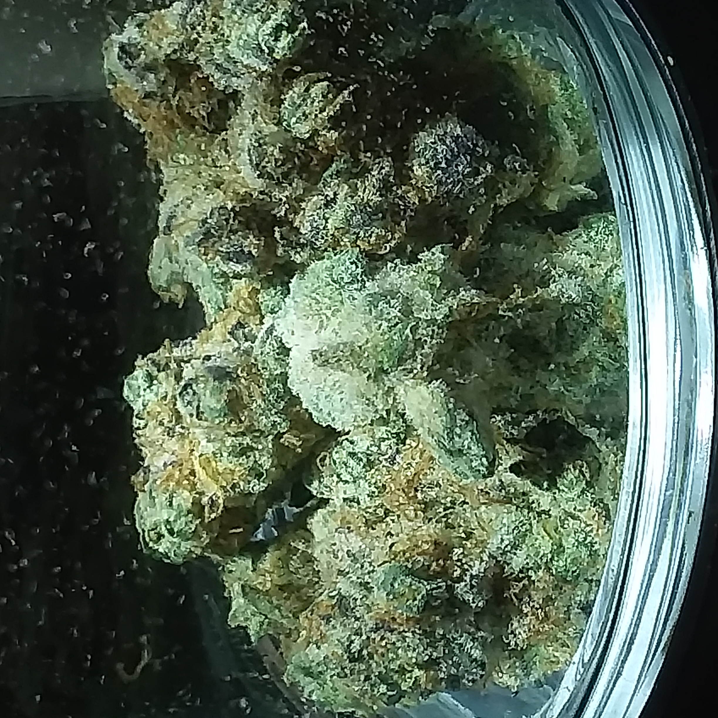 Go green | NFT Collection | Airnfts