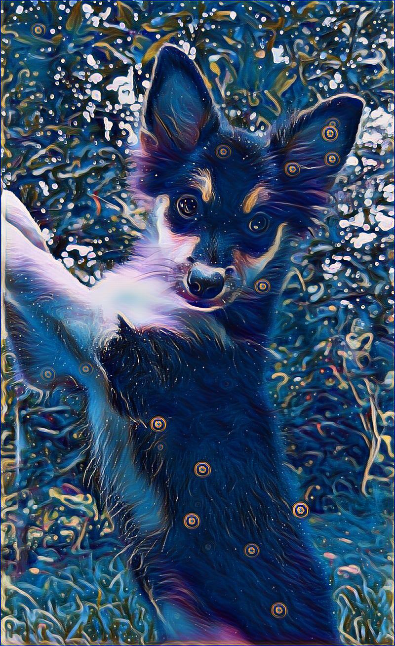 Cute Puppy | NFT Collection | Airnfts