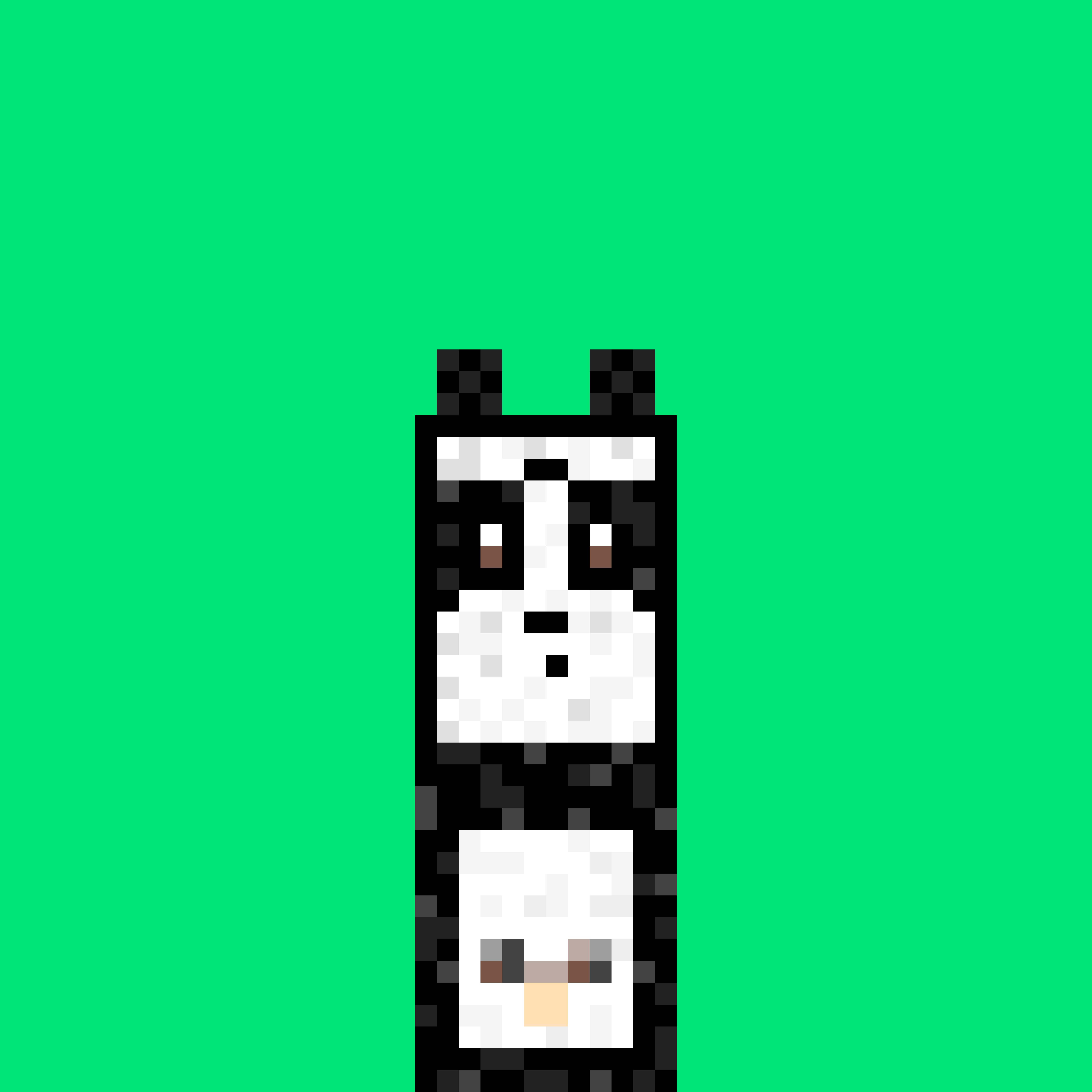 Stick With Dick #06 | NFT Collection | Airnfts