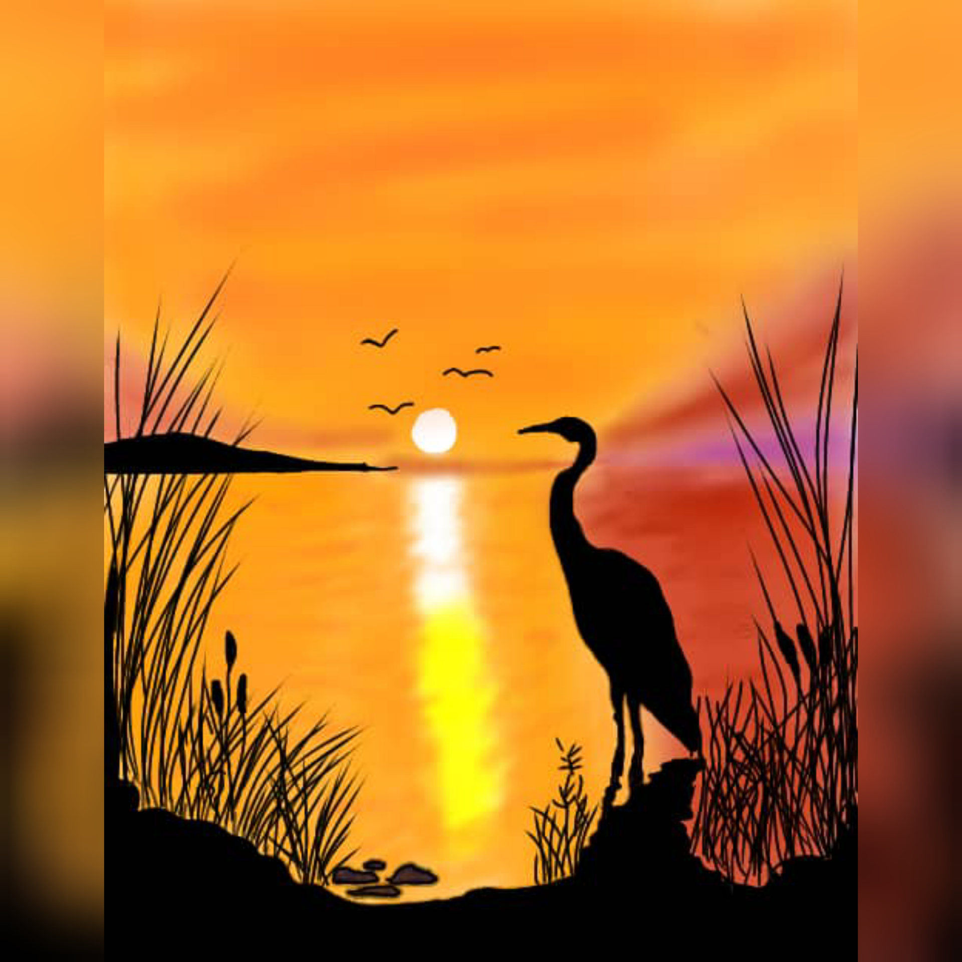 Sunset in the Wild | NFT Collection | Airnfts