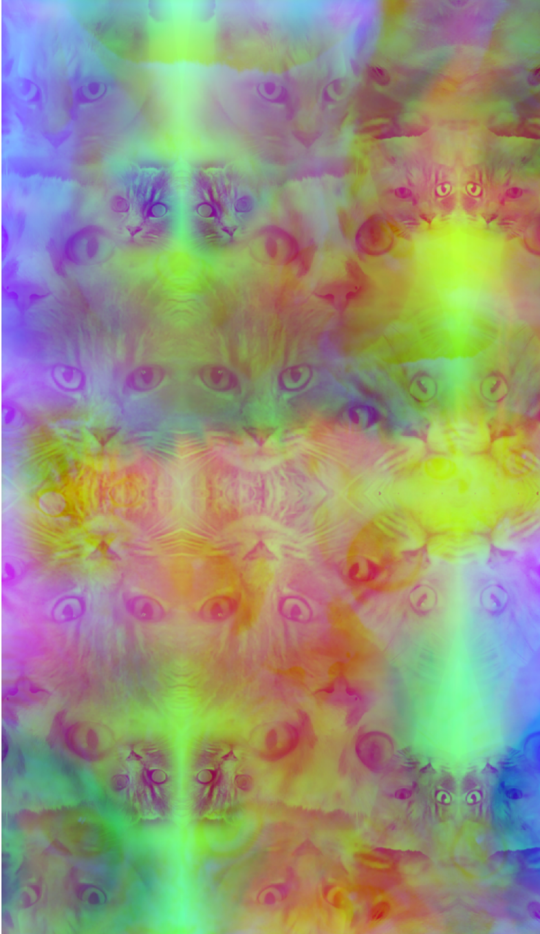 Feline psychedelic | NFT Collection | Airnfts