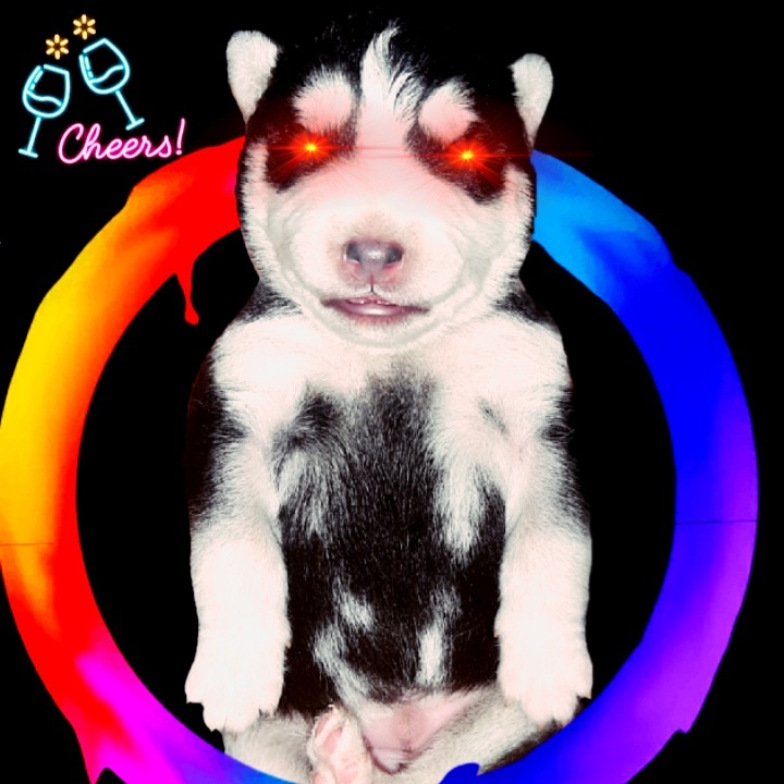 Laser babydoge | NFT Collection | Airnfts