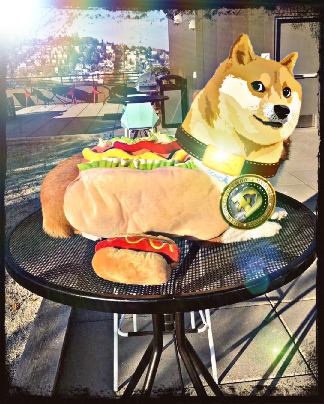 Dog to the moon | NFT Collection | Airnfts